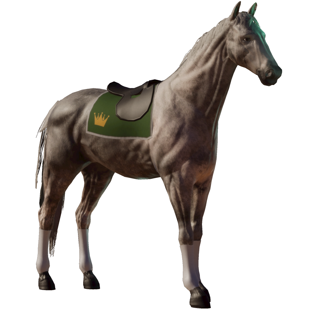 Ruby Shadows | Horse Details | Photo Finish™ LIVE