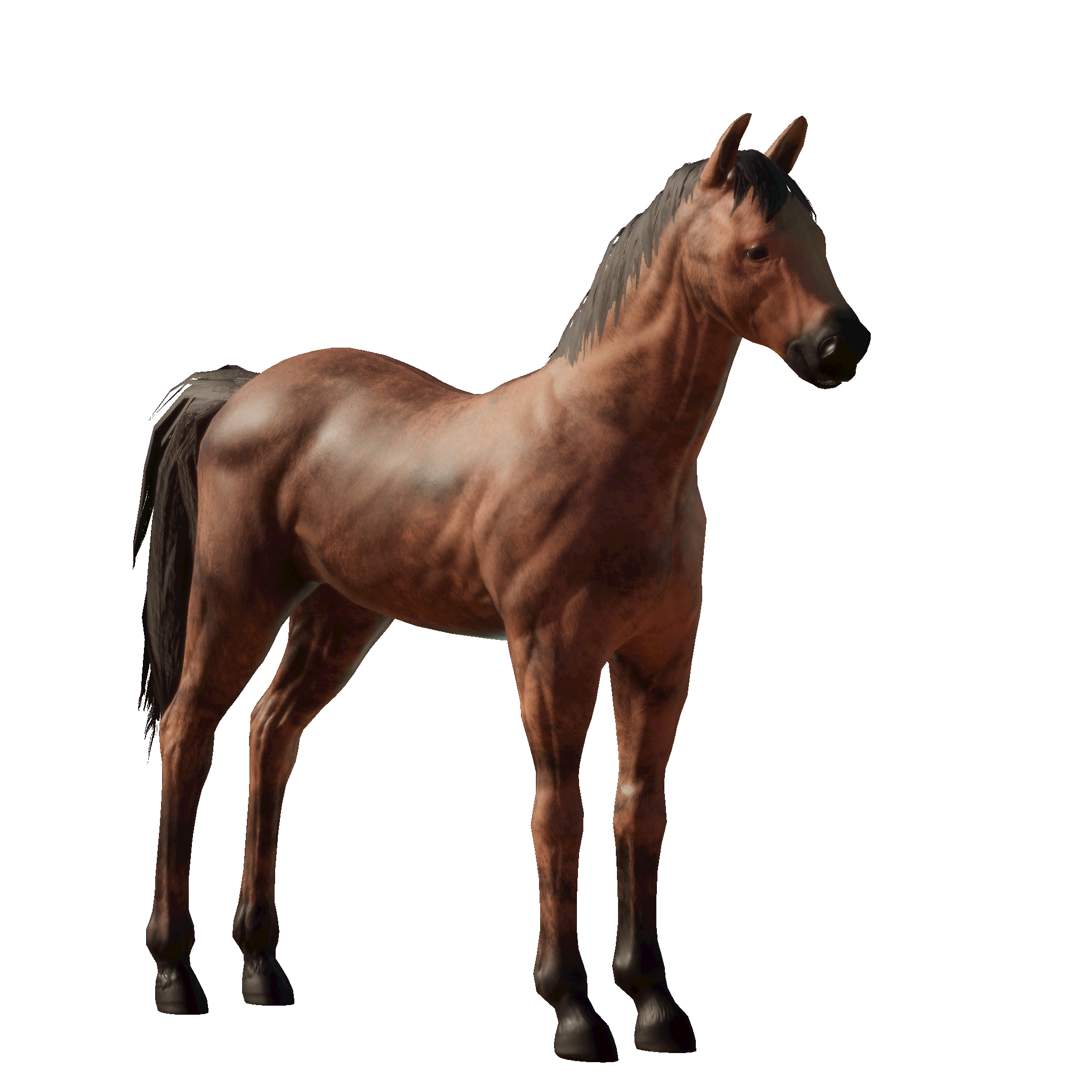 Tallulah Horse Details Photo Finish LIVE