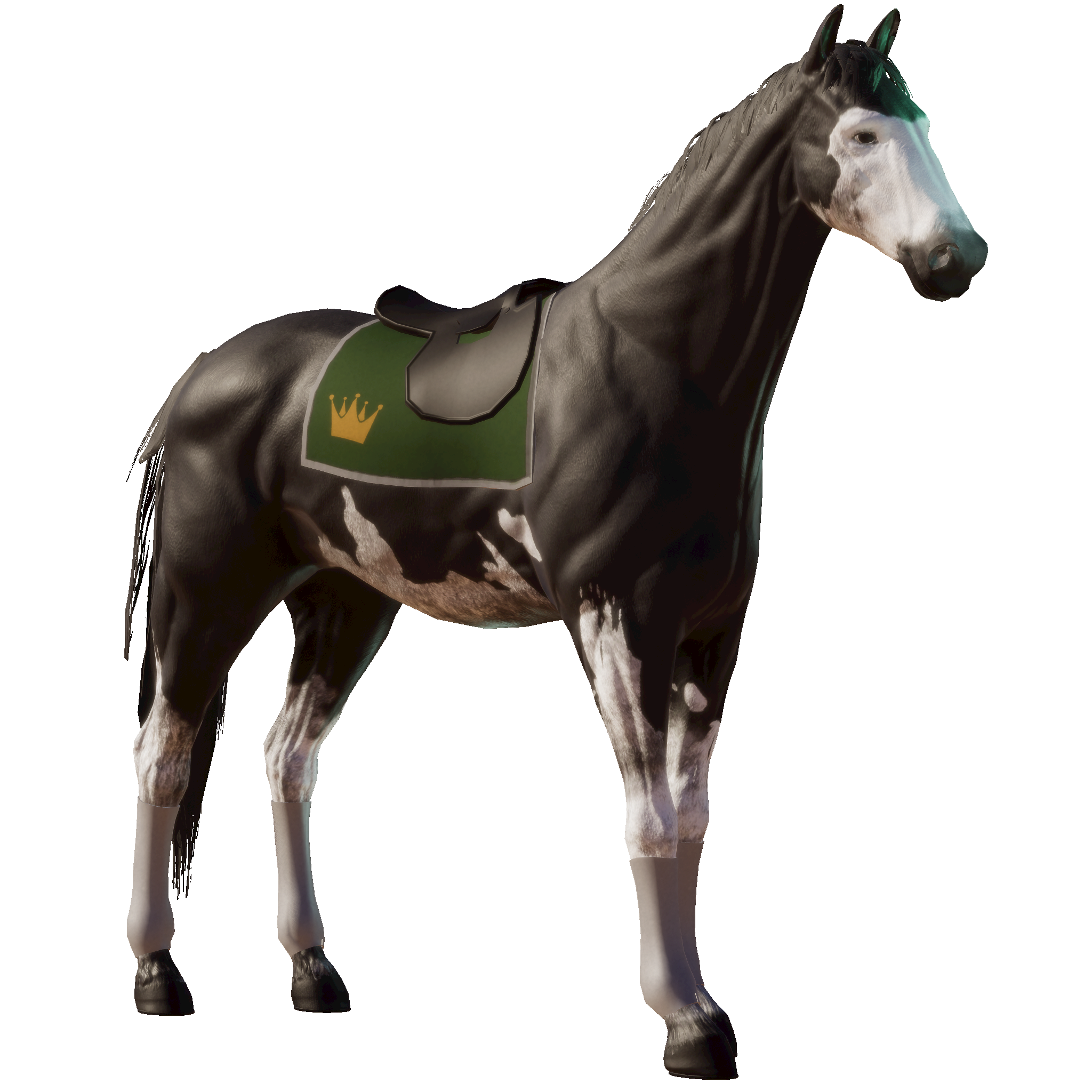 curly-orbic-horse-details-photo-finish-live